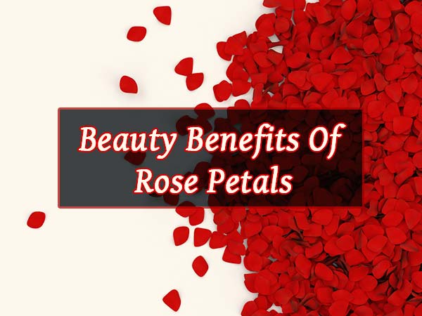Beauty Benefits Of Rose Petals Boldsky beauty-benefits-of-rose-petals-boldsky