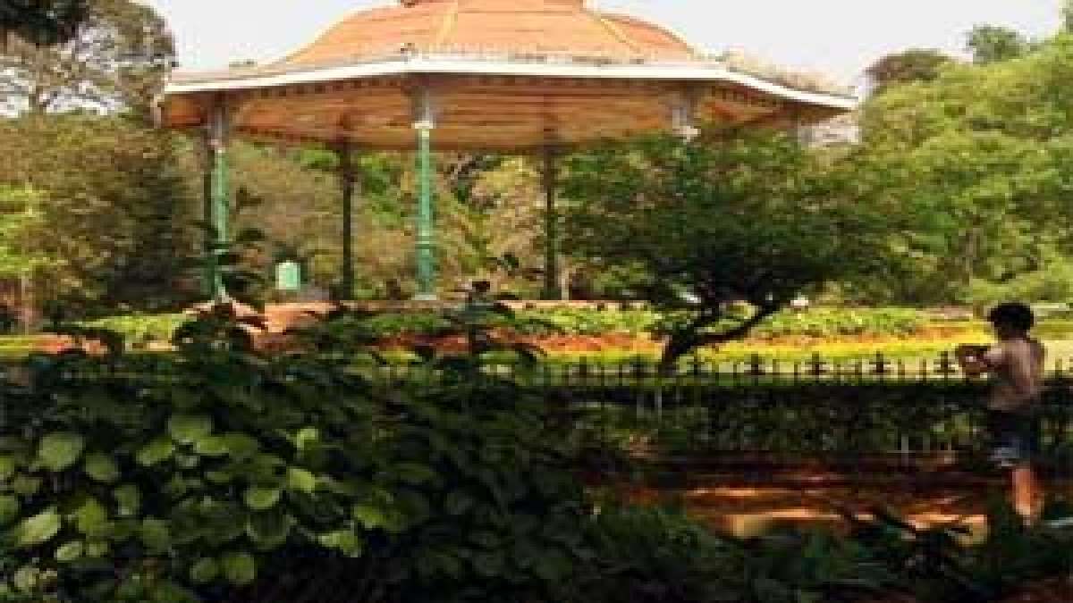 Beautiful Gardens In Bangalore You Should See! - Boldsky.com