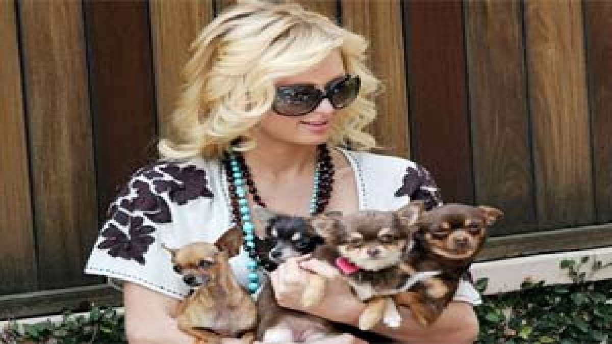 Celebrities & Their Pets! - Boldsky.com