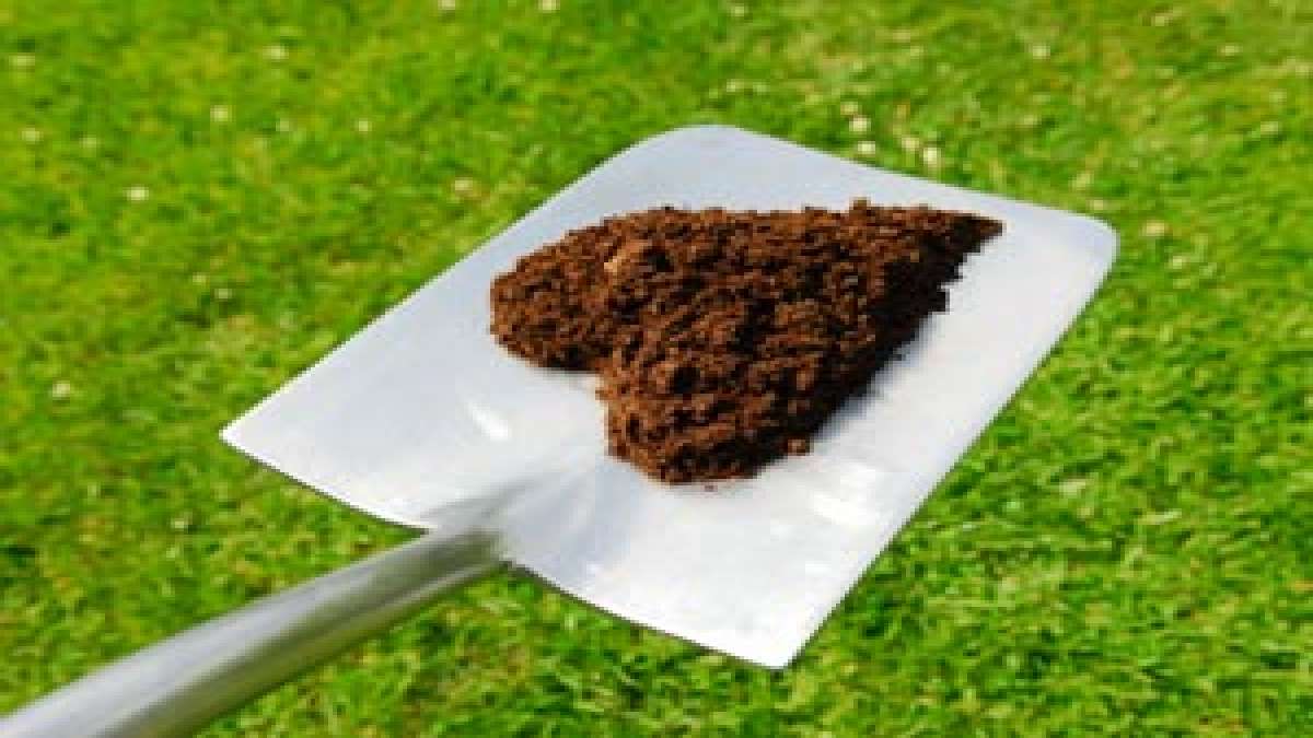 Easy Steps To Make Compost At Home - Boldsky.com