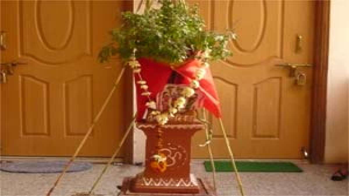 Hindus Plants: Plants Too Can Be Religious! - Boldsky.com