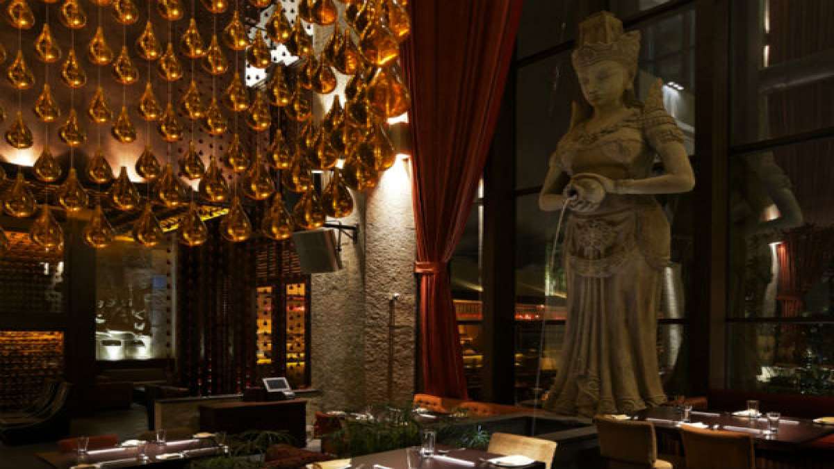Food Review: Shiro - Boldsky.com