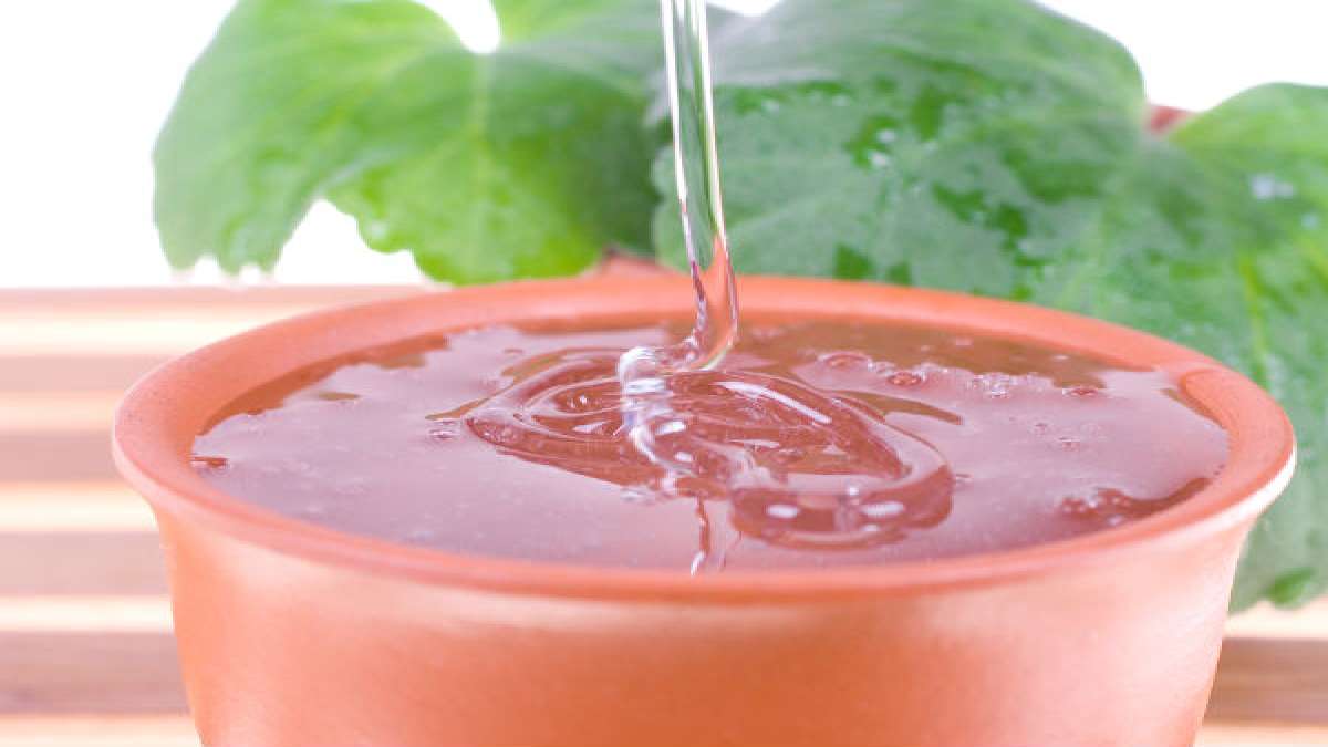 Amazing Health Benefits Of Tea Tree Oil - Boldsky.com