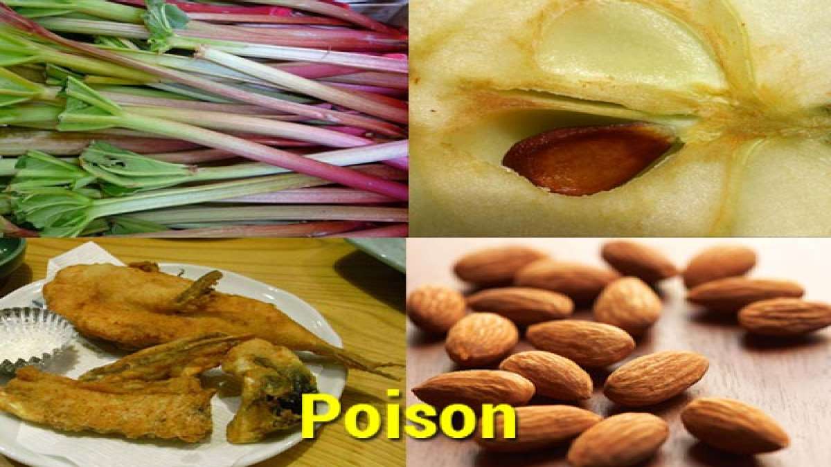 10 Deadly Poisonous Healthy Foods - Boldsky.com
