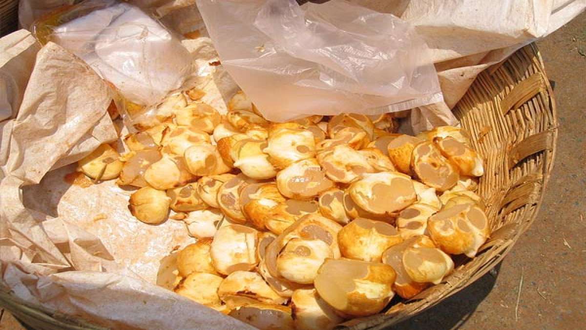 16 Health Benefits Of Ice Apple Or Taati Nungu - Boldsky.com