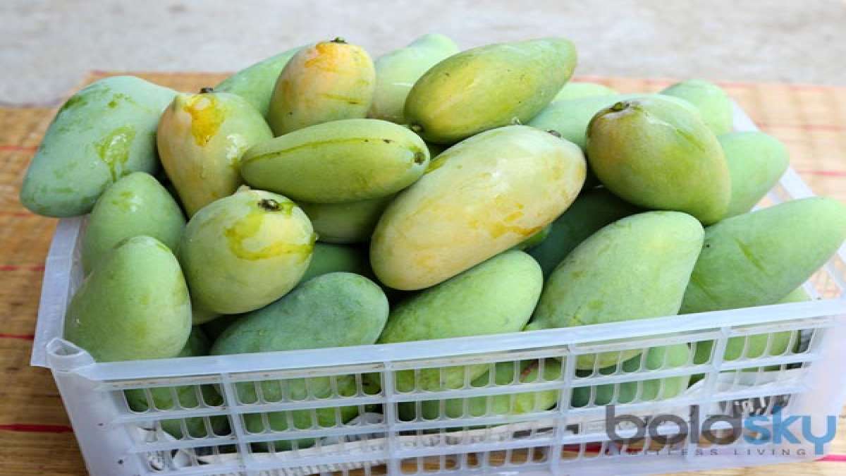 Easy Ways To Ripen Green Mangoes At Home - Boldsky.com
