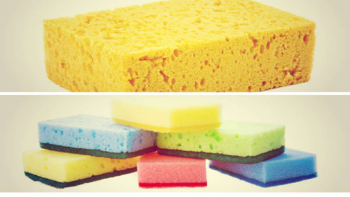 8 Surprising Uses Of Sponge - Boldsky.com
