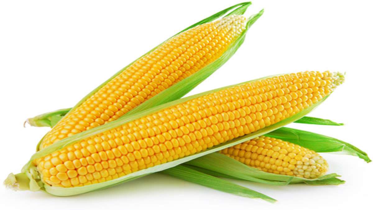 15 Health Benefits Of Eating Sweet Corn - Boldsky.com