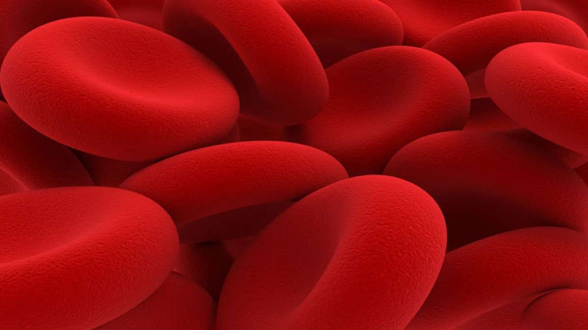 6 Best Foods To Improve Blood Quality - Boldsky.com