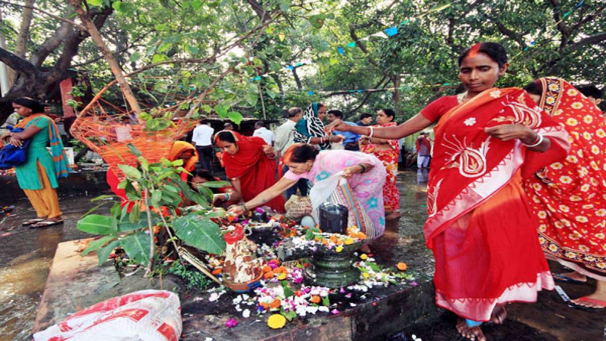 Why People Worship Trees In India - Boldsky.com