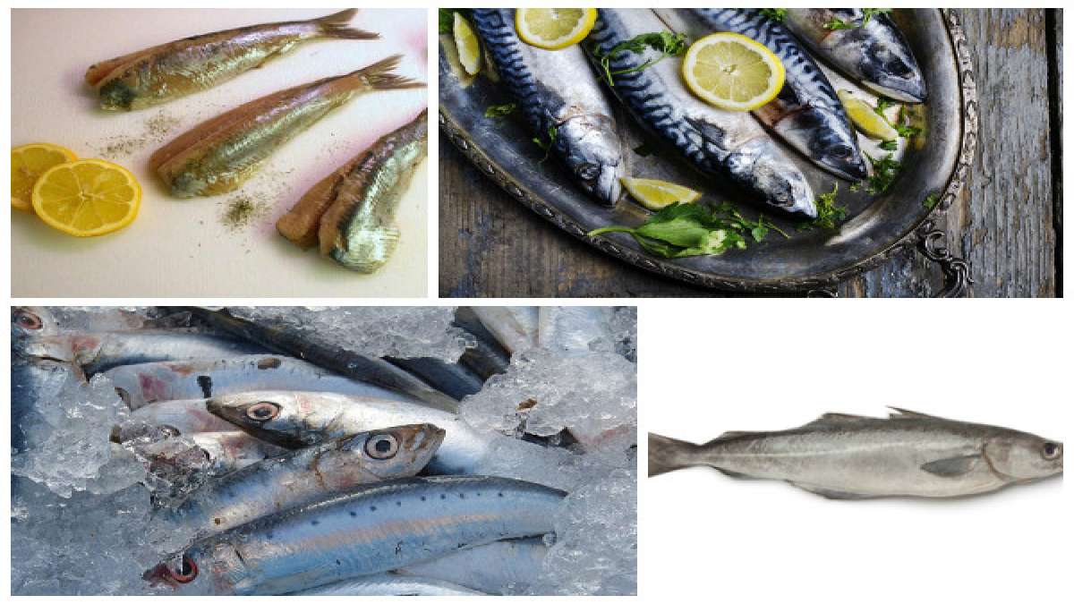 Top Ten Healthiest Fishes You Must Eat - Boldsky.com