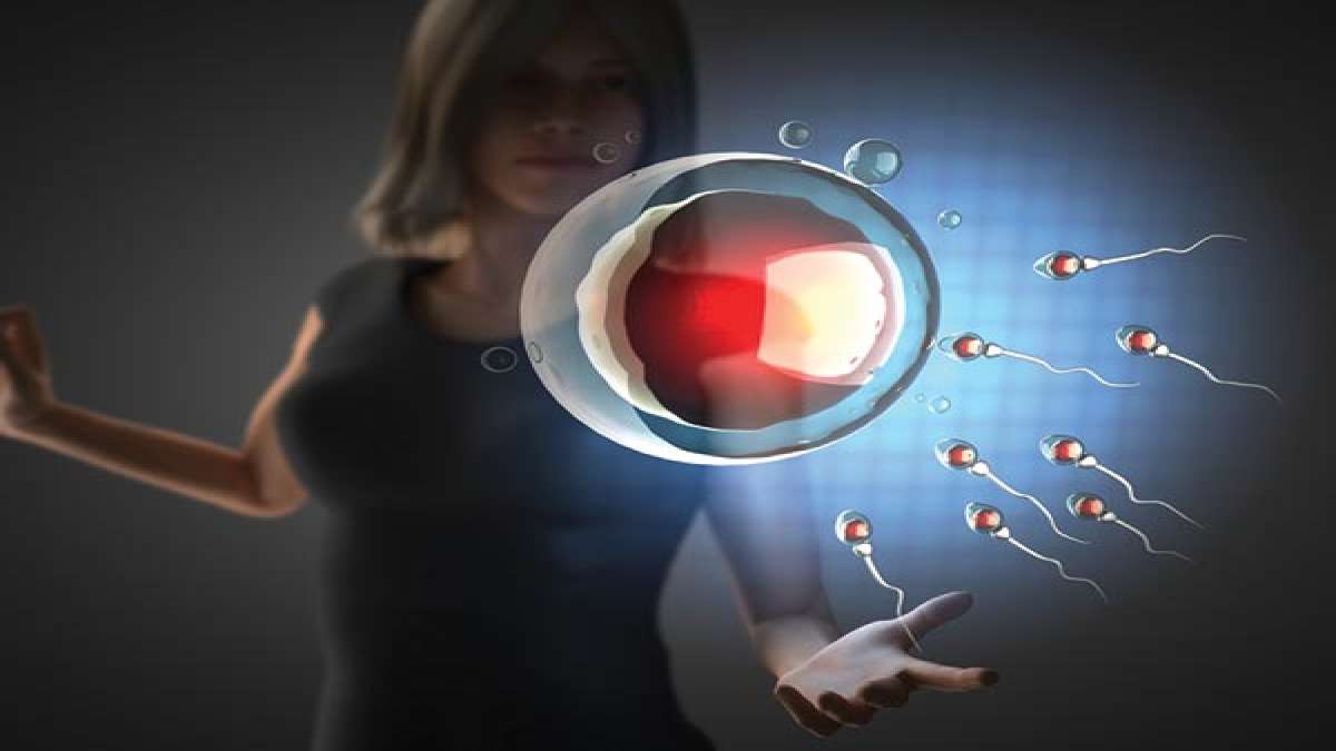 Signs Of High Fertility In Women - Boldsky.com