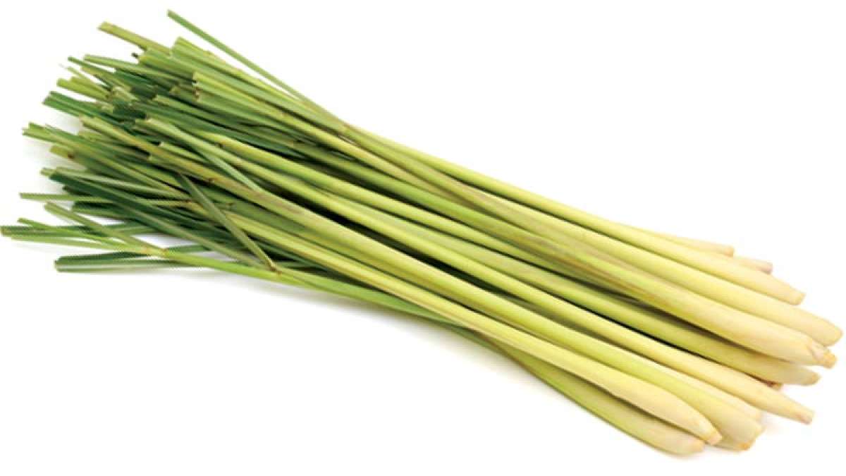 Amazing Health Benefits Of Lemon Grass - Boldsky.com