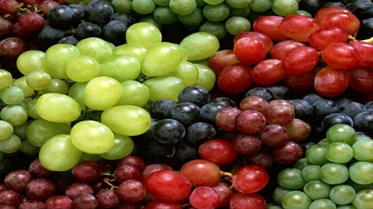 Why Grapes Are Good For Skin In Summer? - Boldsky.com
