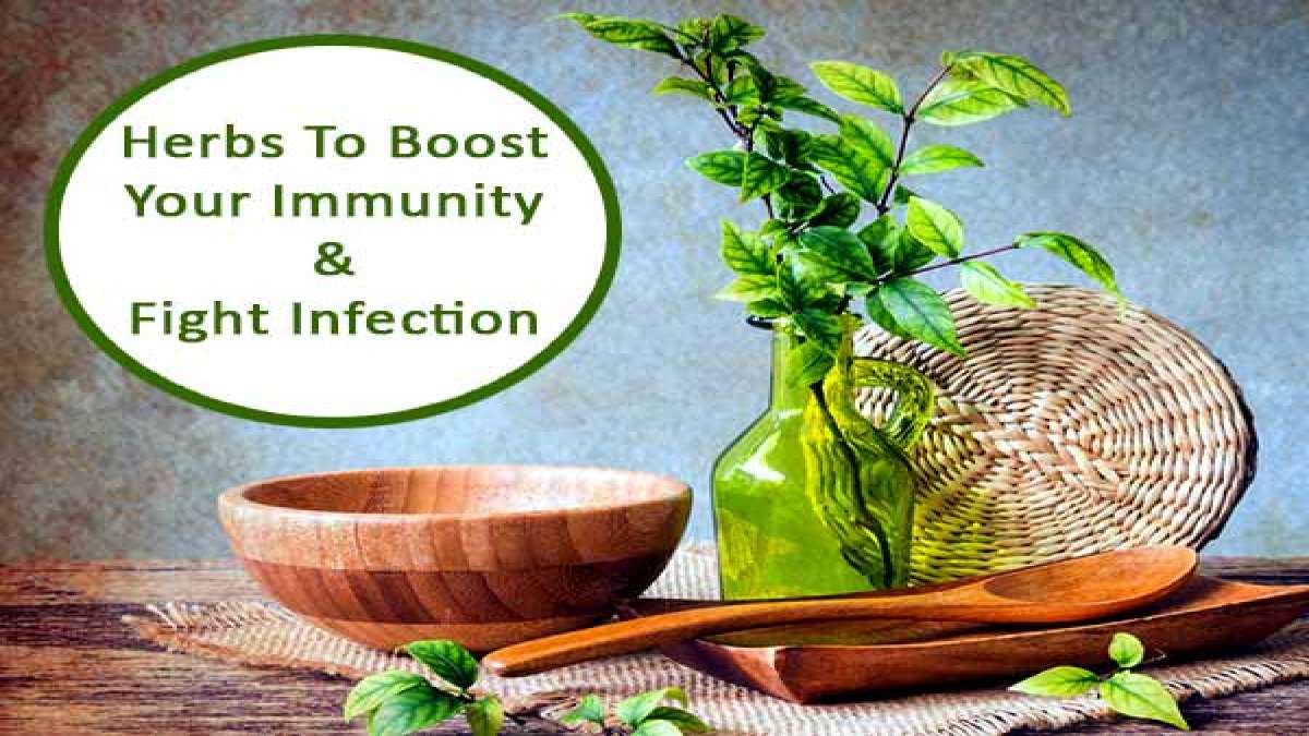 Top Antiviral Herbs To Boost Your Immunity And Fight Infection ...