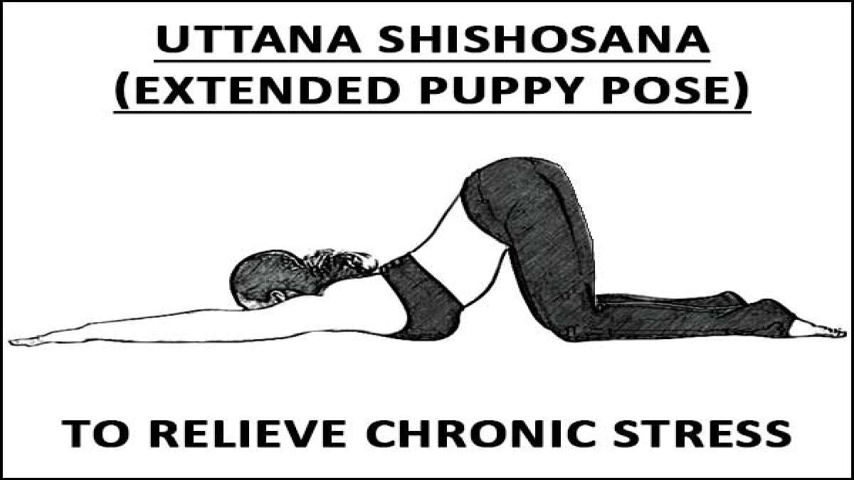 Uttana Shishosana (Extended Puppy Pose) To Relieve Chronic Stress ...