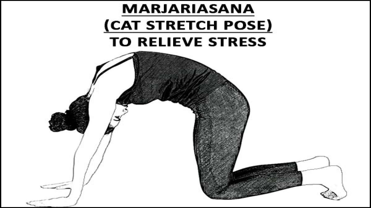 Marjariasana (Cat Stretch Pose) To Relieve Stress - Boldsky.com