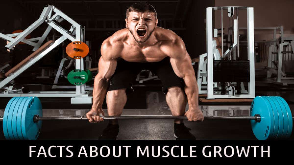 This Is How Muscles Grow - Boldsky.com