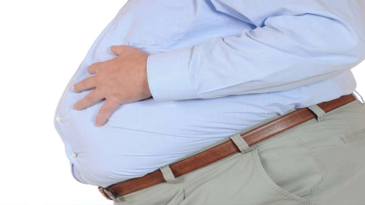 World Obesity Day: What Causes Obesity? Its Symptoms & Treatment ...