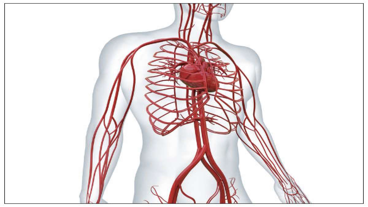 Effects Of Poor Blood Circulation - Boldsky.com