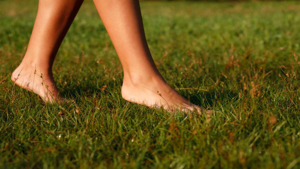 Here Is Why You Should Walk On The Grass In The Morning - Boldsky.com