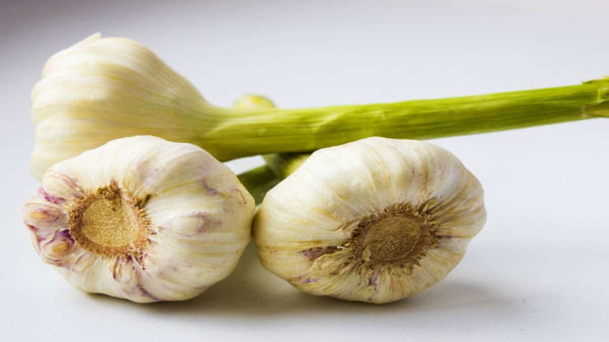 Is Sprouted Garlic Safe To Eat? - Boldsky.com