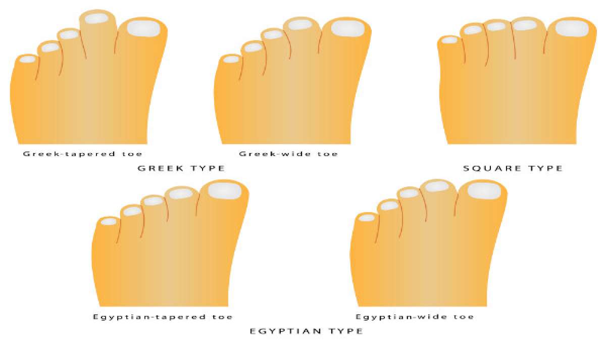 What Exactly Does The Shape Of Your Toes Reveal - Boldsky.com