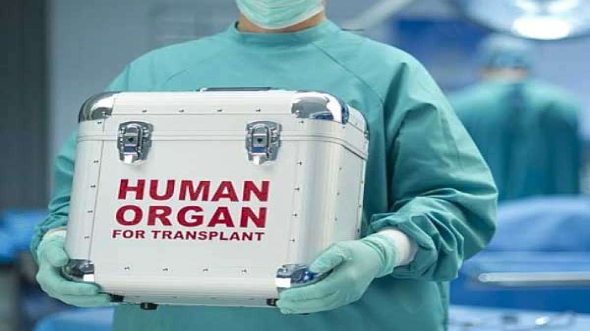 Organ Donation Day; Important Organs That You Can Donate - Boldsky.com