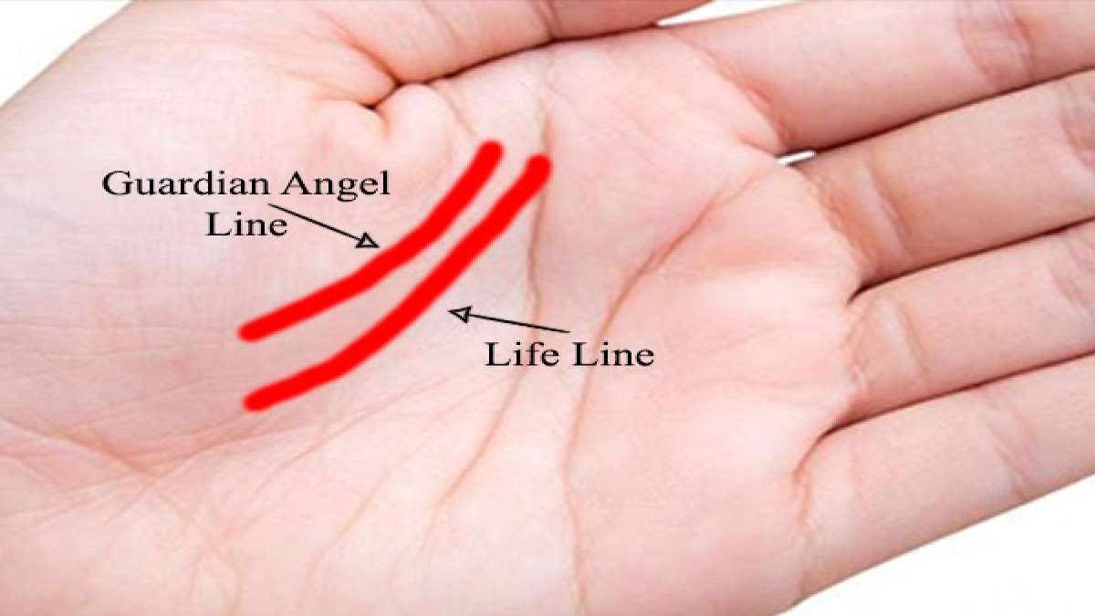 Do You Know Which Is Your Guardian Line On The Palm? - Boldsky.com