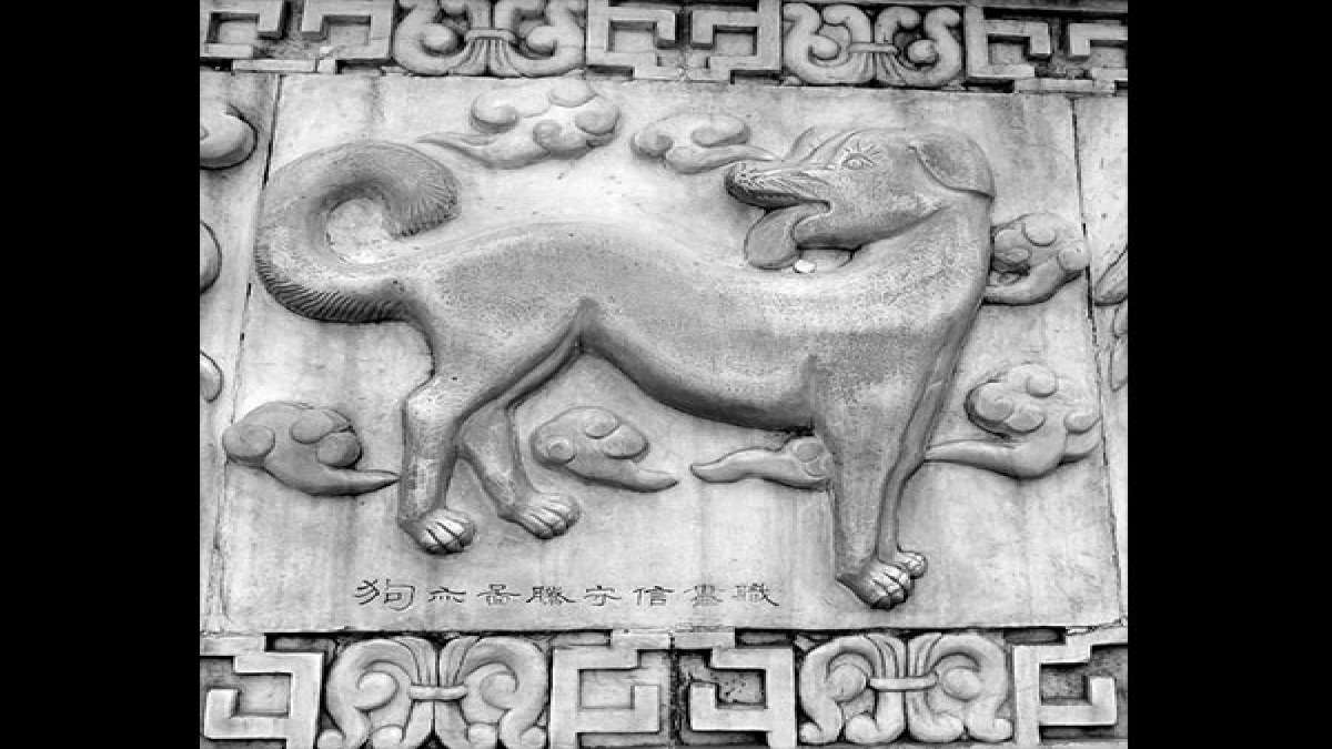 2018: Chinese Zodiac - The Year Of The Dog And What It Means - Boldsky.com