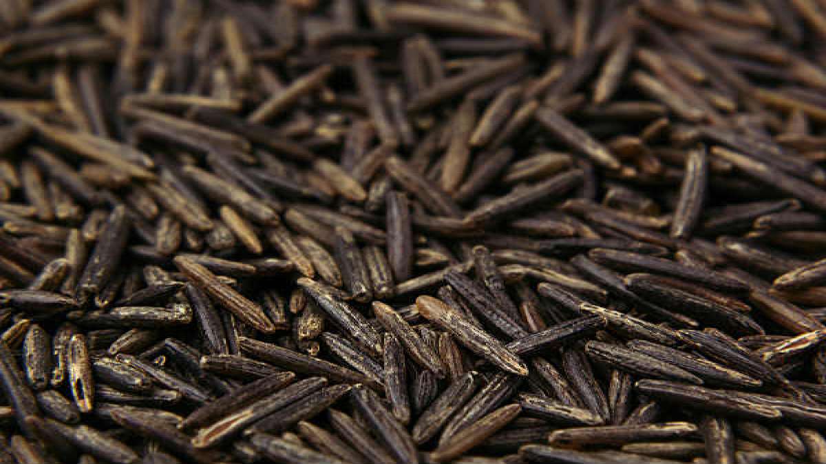 10 Amazing Health Benefits Of Wild Rice - Boldsky.com