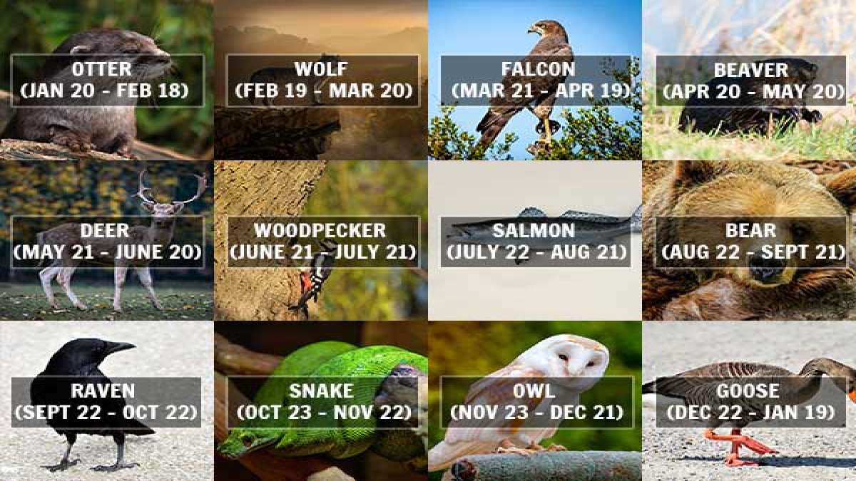 Everything You Need To Know About The American Zodiac Signs - Boldsky.com