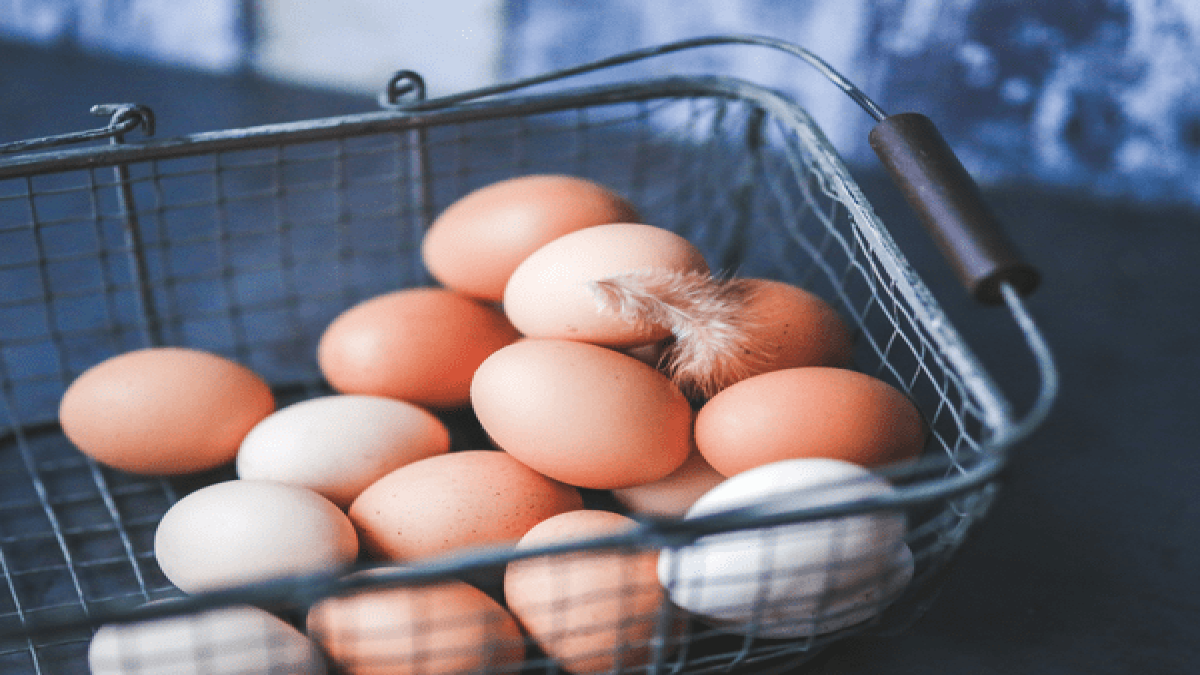 How Does Salmonella Bacteria Get Into Eggs - Boldsky.com