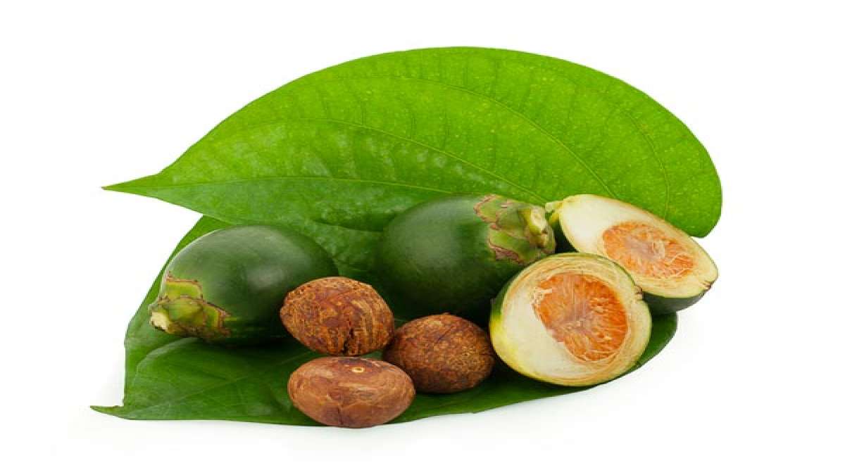 Betel Nut And Its Use In Pujas - Boldsky.com