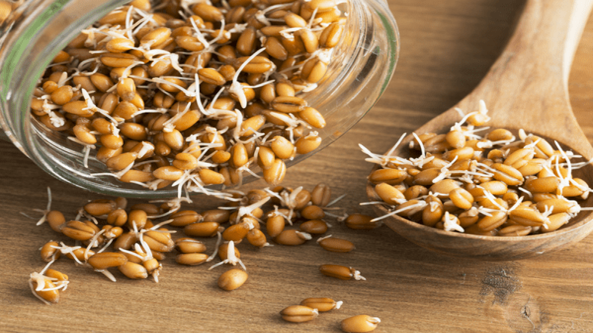 Health Benefits Of Eating Soaked, Sprouted And Sour Grains - Boldsky.com