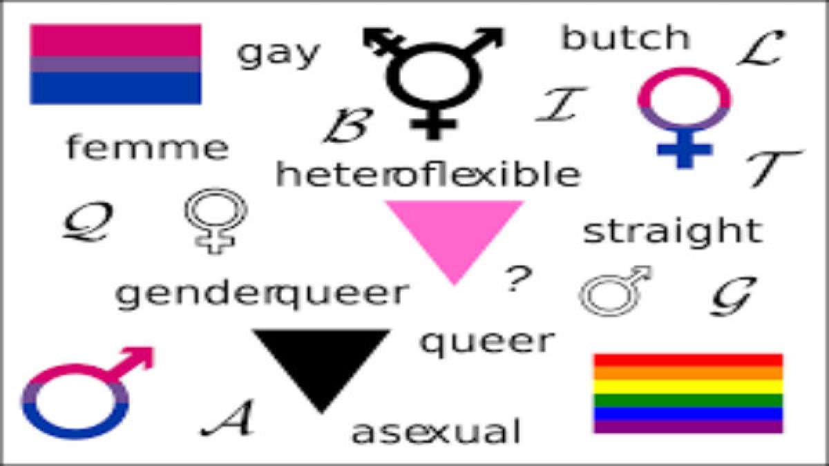 A List Of Genders And Sexualities And Their Definitions