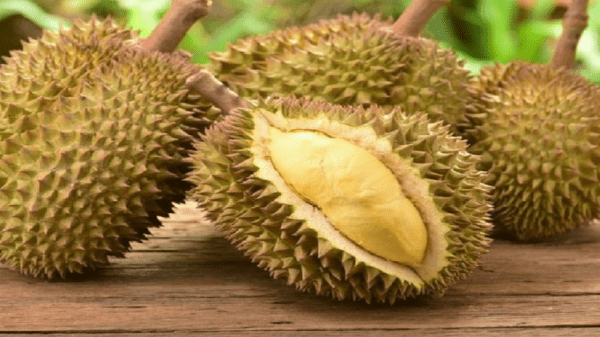 Durian: The Exotic Fruit With Many Health Benefits - Boldsky.com