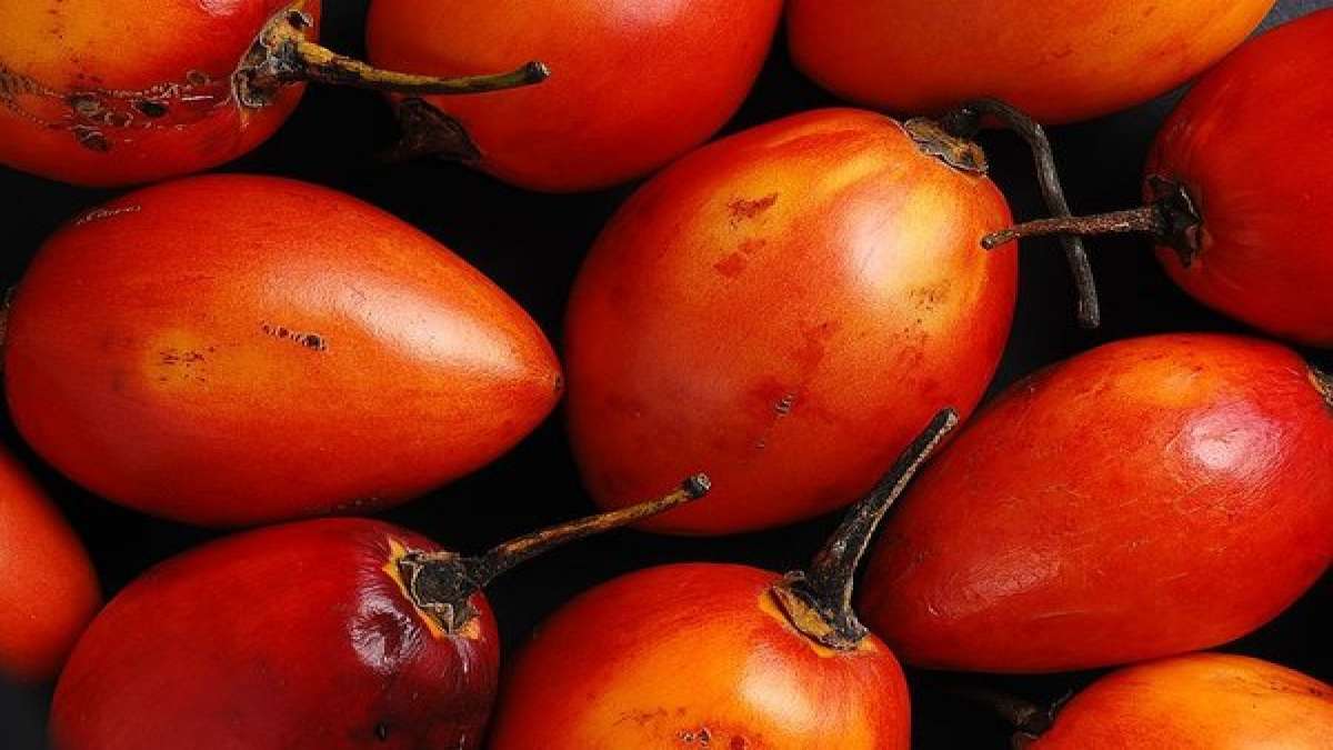15 Interesting Benefits Of Tamarillo For Health, Hair & Skin - Boldsky.com