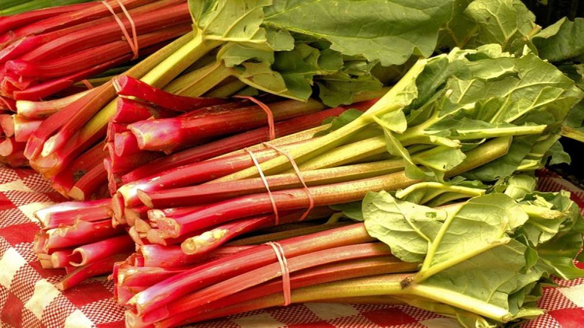 8 Wonderful Health Benefits Of Rhubarb - Boldsky.com