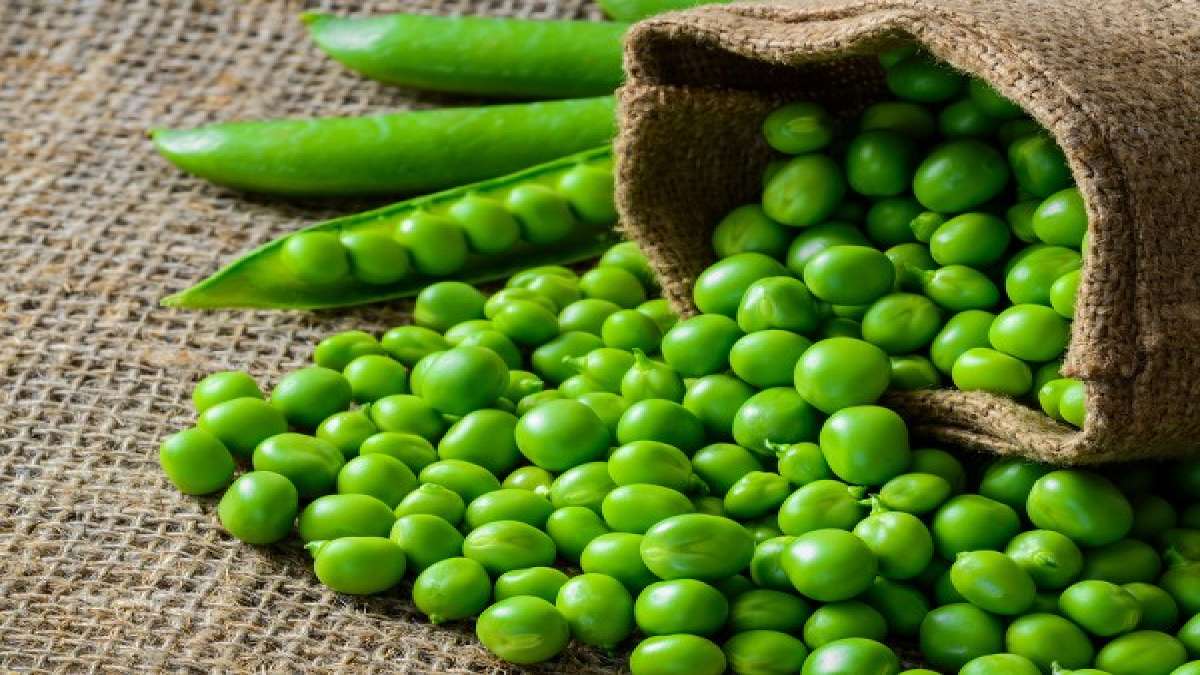 Green Peas: Nutritional Health Benefits, Risks & Recipes - Boldsky.com