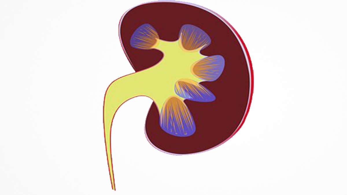 Hyperphosphatemia: Symptoms, Causes, Diagnosis And Treatment - Boldsky.com