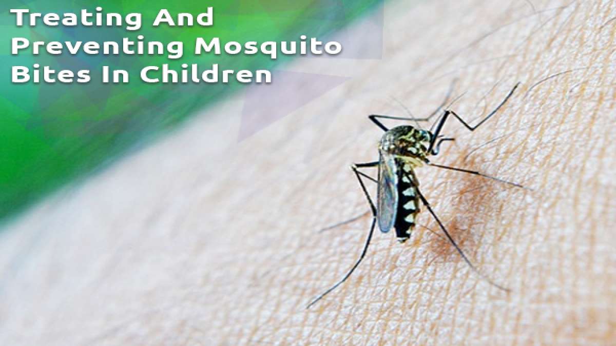 World Mosquito Day 2019: Useful Tips For Treating And Preventing ...