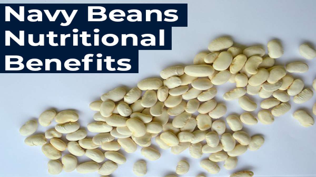 What Are Navy Beans? Their Benefits, Side Effects And Recipe - Boldsky.com