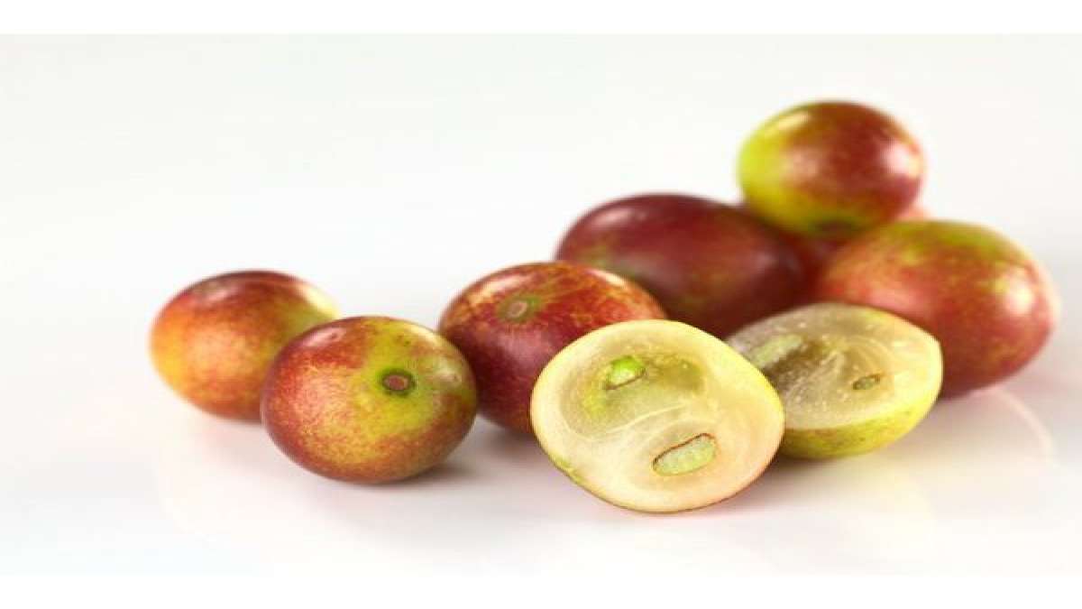 Lesser Known Health Benefits Of Camu Camu, Nutrition And Vegan Recipes ...