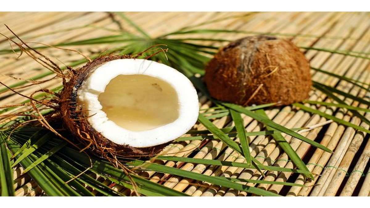 World Coconut Day 2022: 4 Healthy Ways To Eat Coconut - Boldsky.com