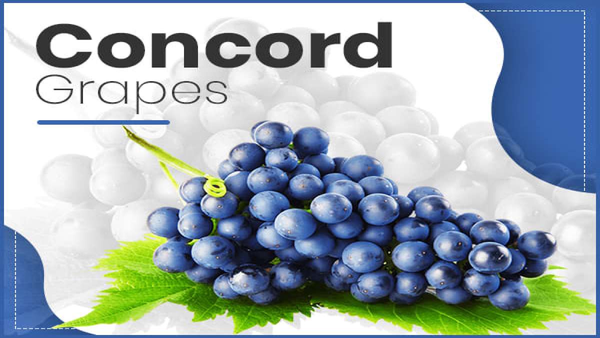 7 Health Benefits Of Concord Grapes - Boldsky.com