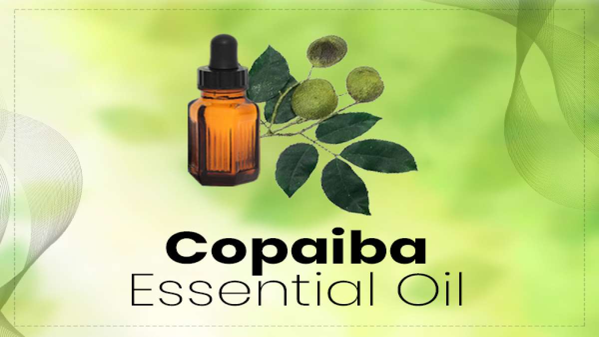 Copaiba Oil: Health Benefits, Risks And How To Use - Boldsky.com