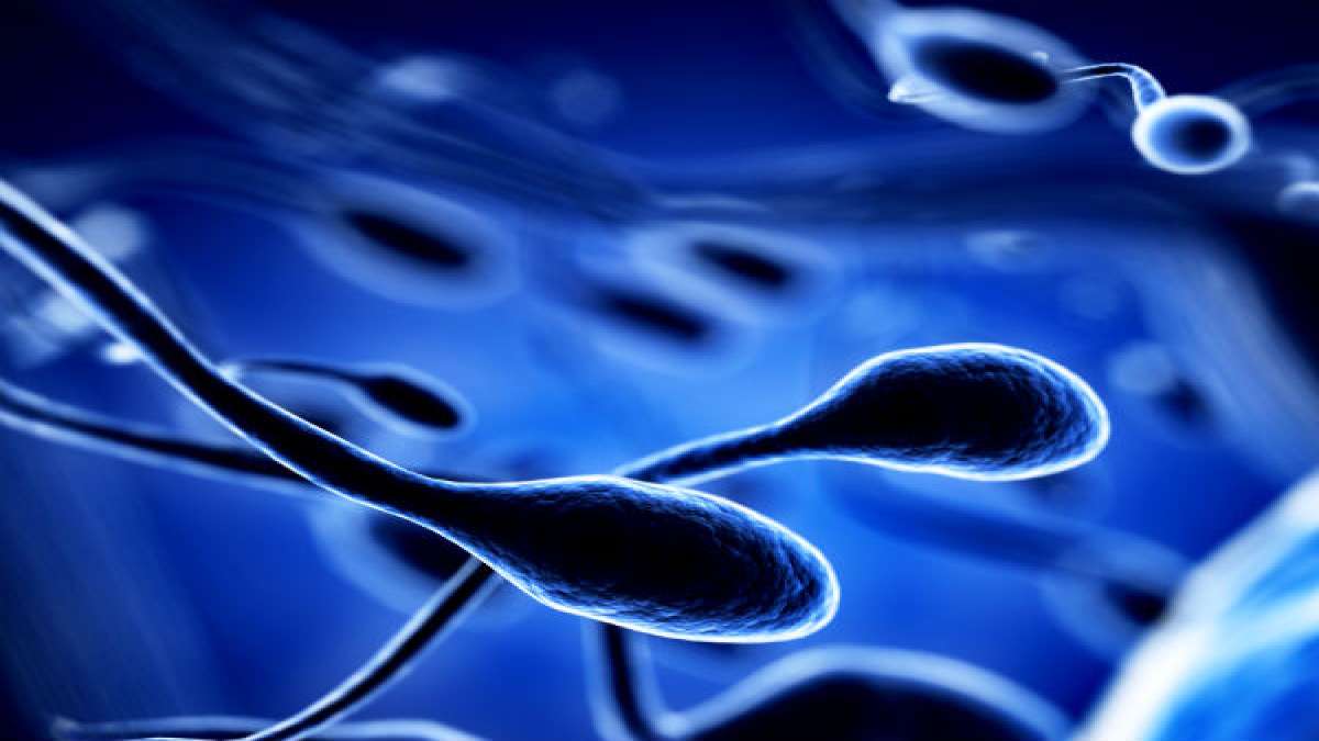 Yellow Semen Causes, Symptoms and Treatment - Boldsky.com