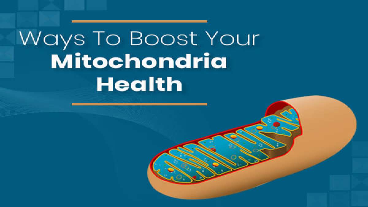 6 Ways To Boost Your Mitochondrial Health - Boldsky.com