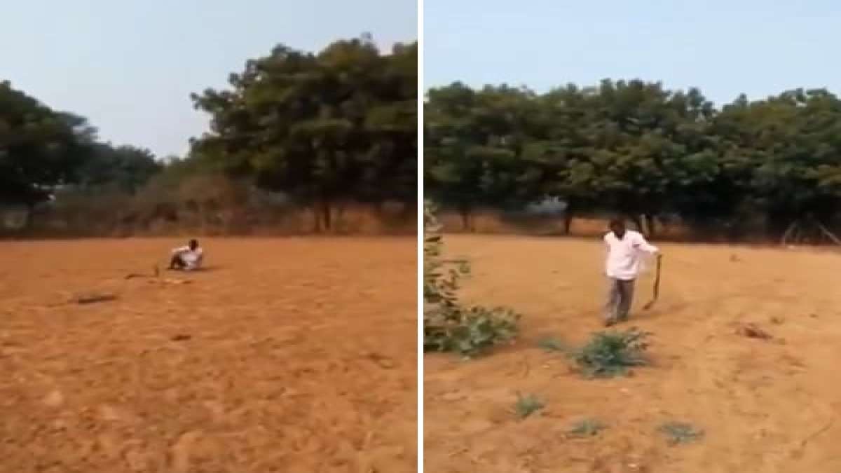 Viral: Drunk Man Teasing And Playing With Snake Will Send Chills Down ...
